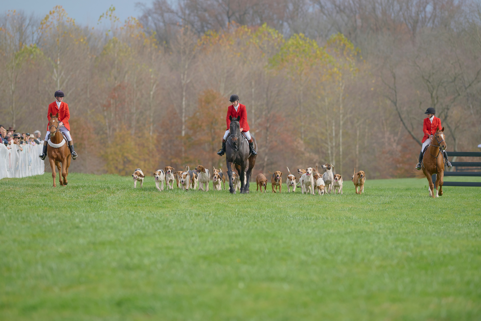 Pennsylvania Hunt Cup - The 90th running on Sunday, November 2, 2025