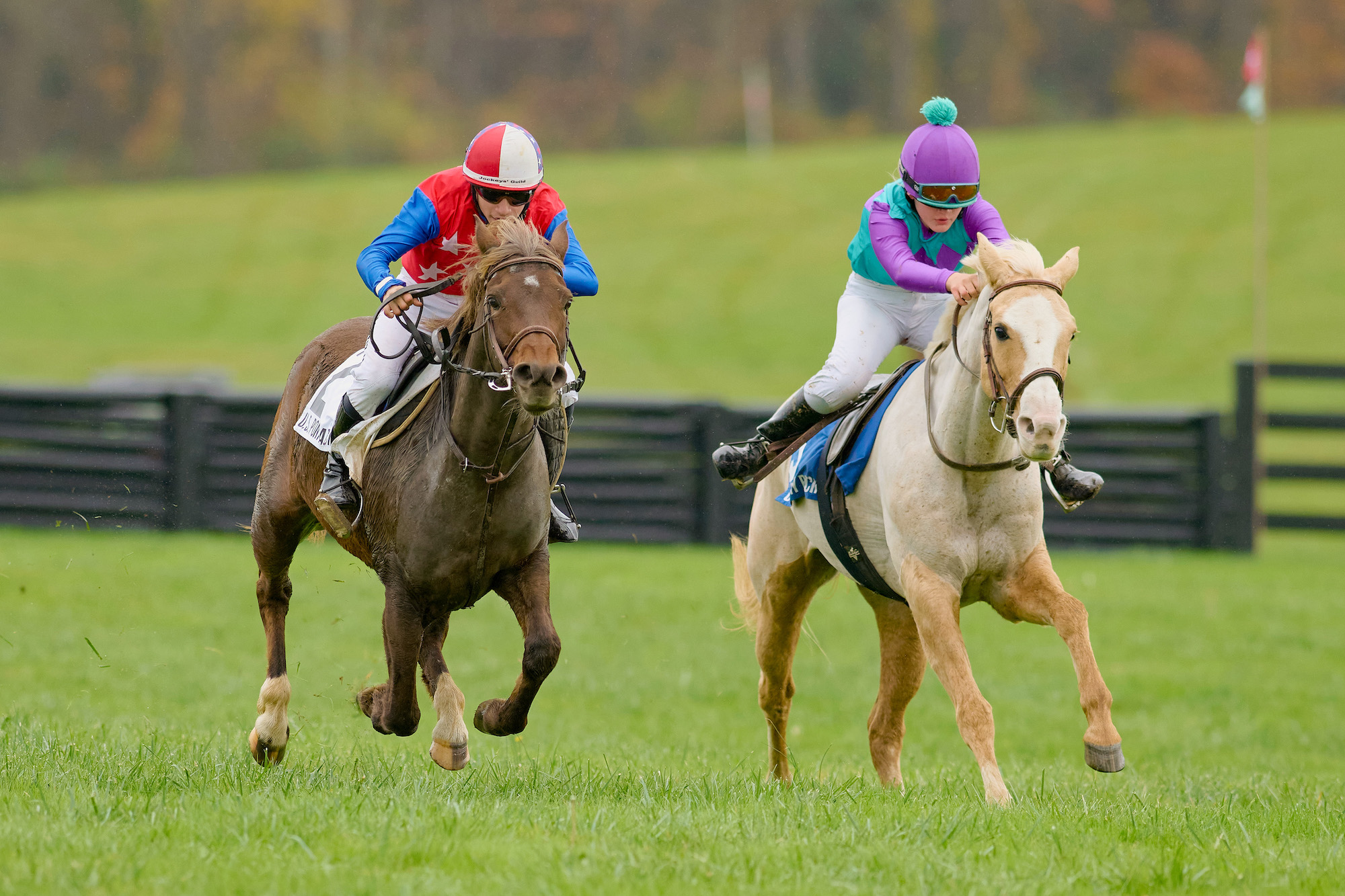 Pennsylvania Hunt Cup - The 89th running on Sunday, November 5, 2023